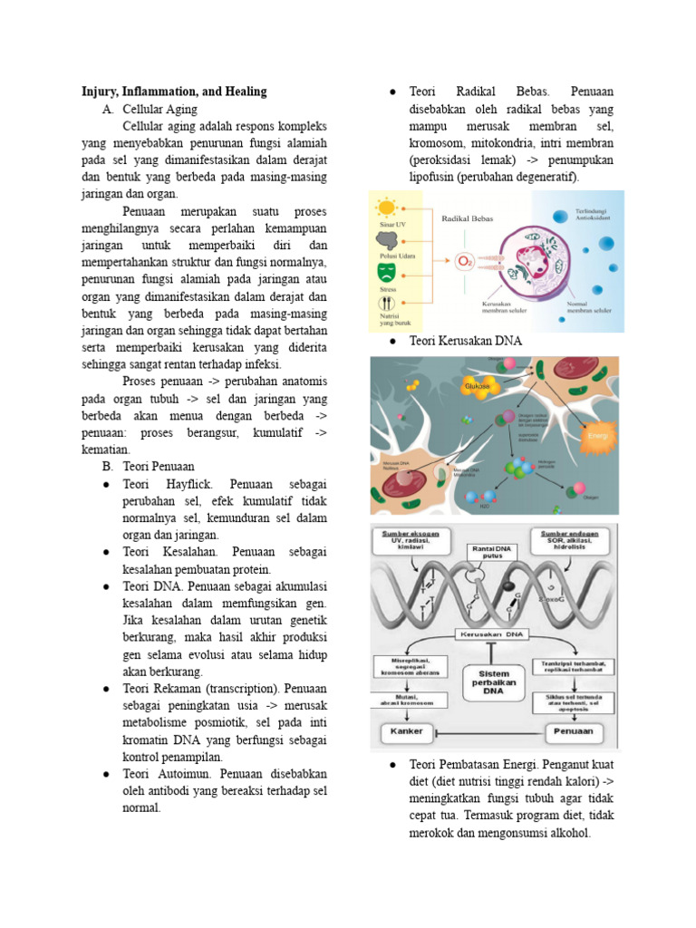 Kumpulan Materi Mata Kuliah Patofisiologi 1/2 Semester | PDF