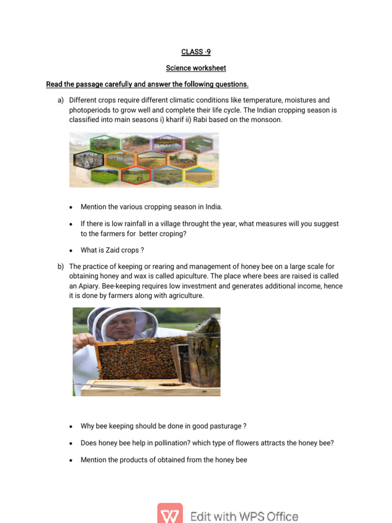 Class 9 Science Worksheet | PDF