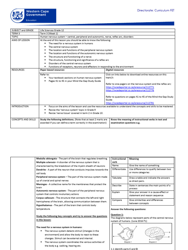 Life Sciences Grade 12 Term 3 Week 1 - 2020 | PDF | Nervous System | Neuron