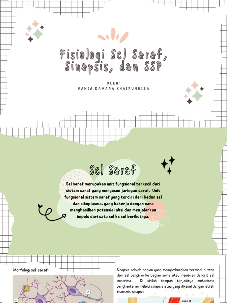 Fisiologi - Sel Sarad, Sinapsis, Dan SSP | PDF | Dewasa Muda