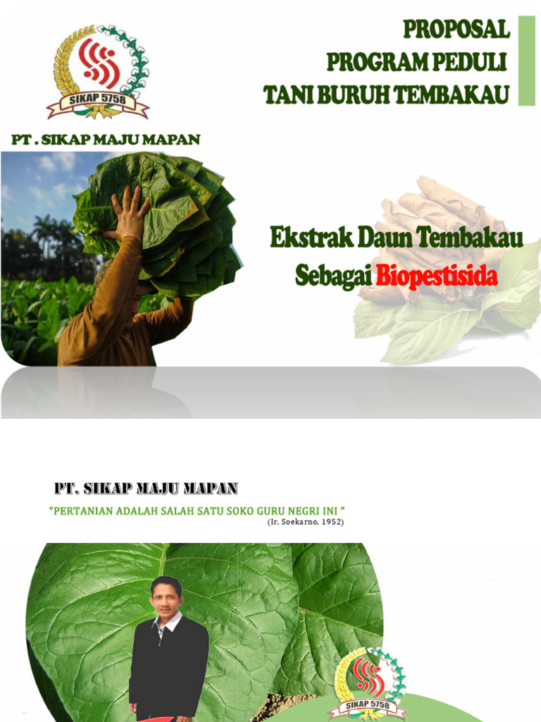 Proposal Olahan Daun Tembakau | PDF