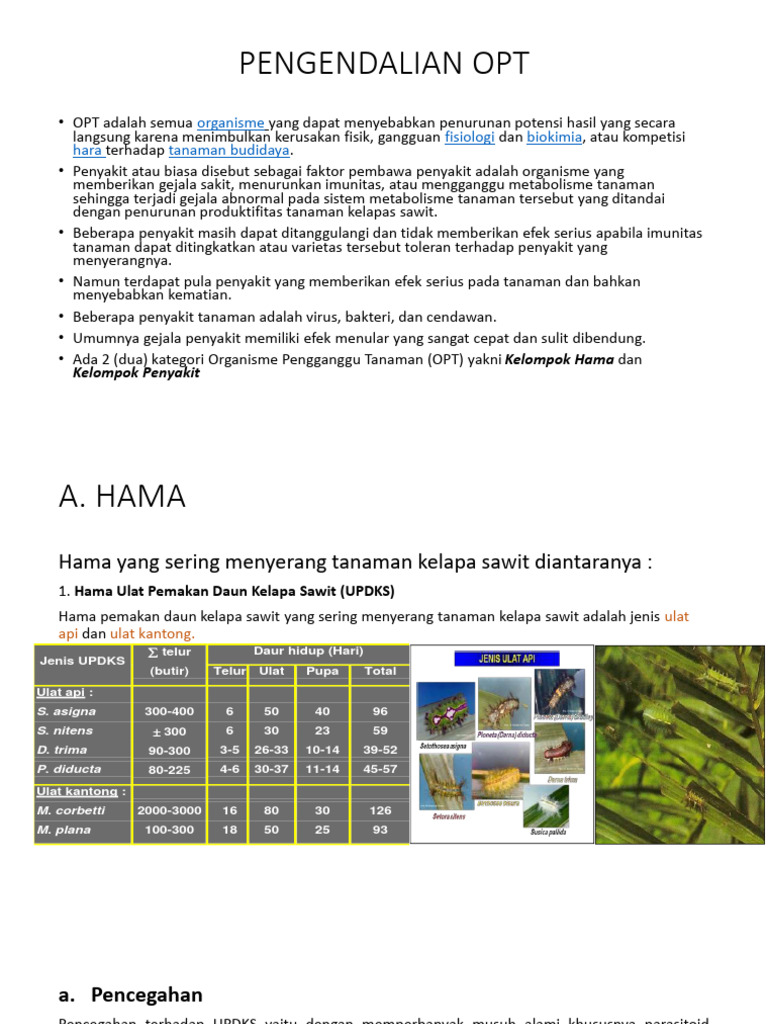 Pengendalian OPT | PDF | Kesehatan Holistik
