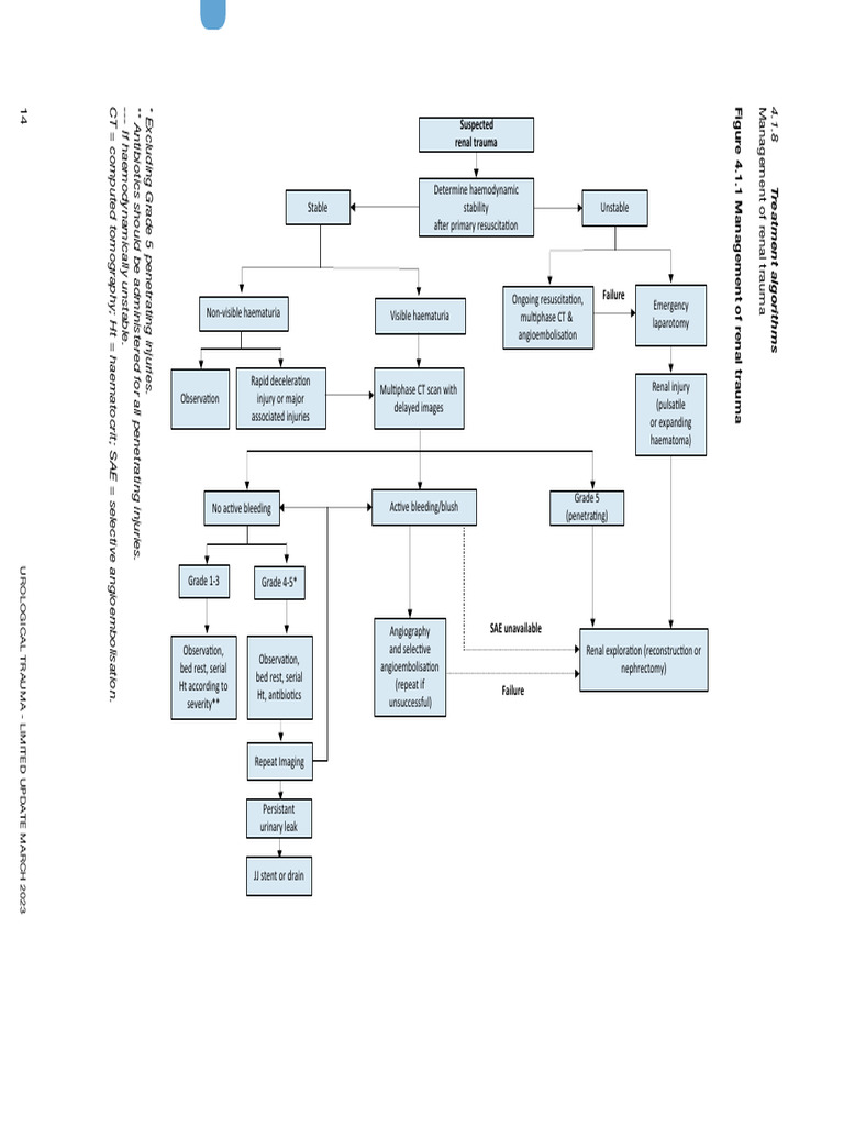 Algoritmo Trauma Renal | PDF | Medical Emergencies | Human Diseases And ...