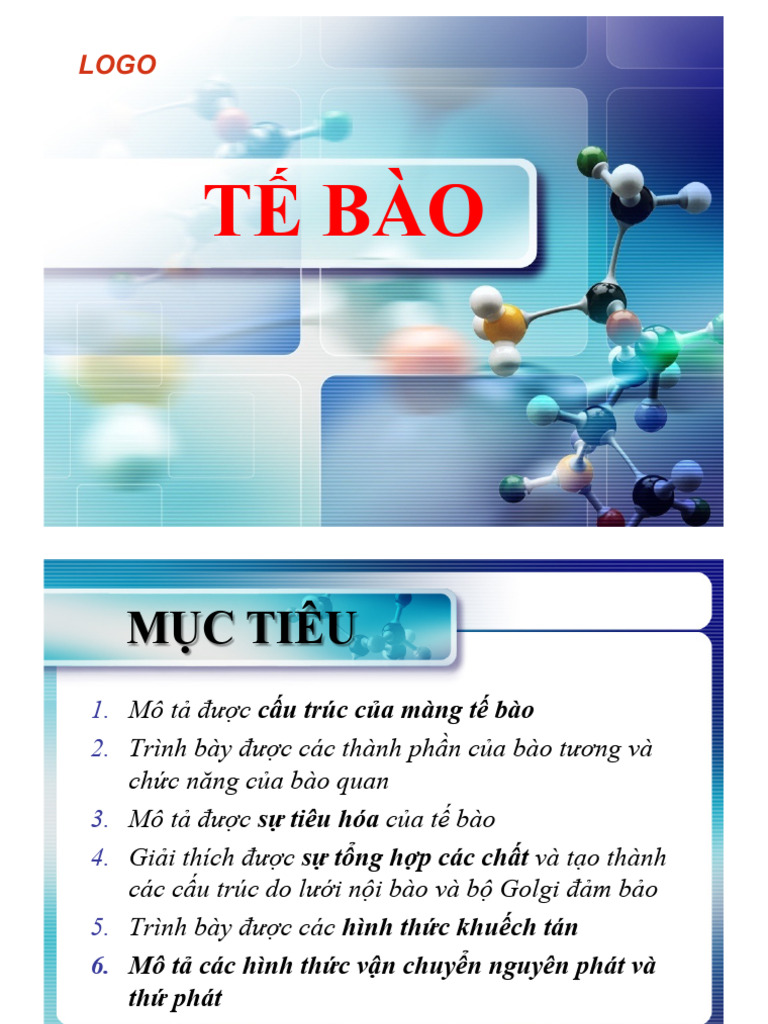 TEÌ Ì - BAÌ O (Compatibility Mode) | PDF