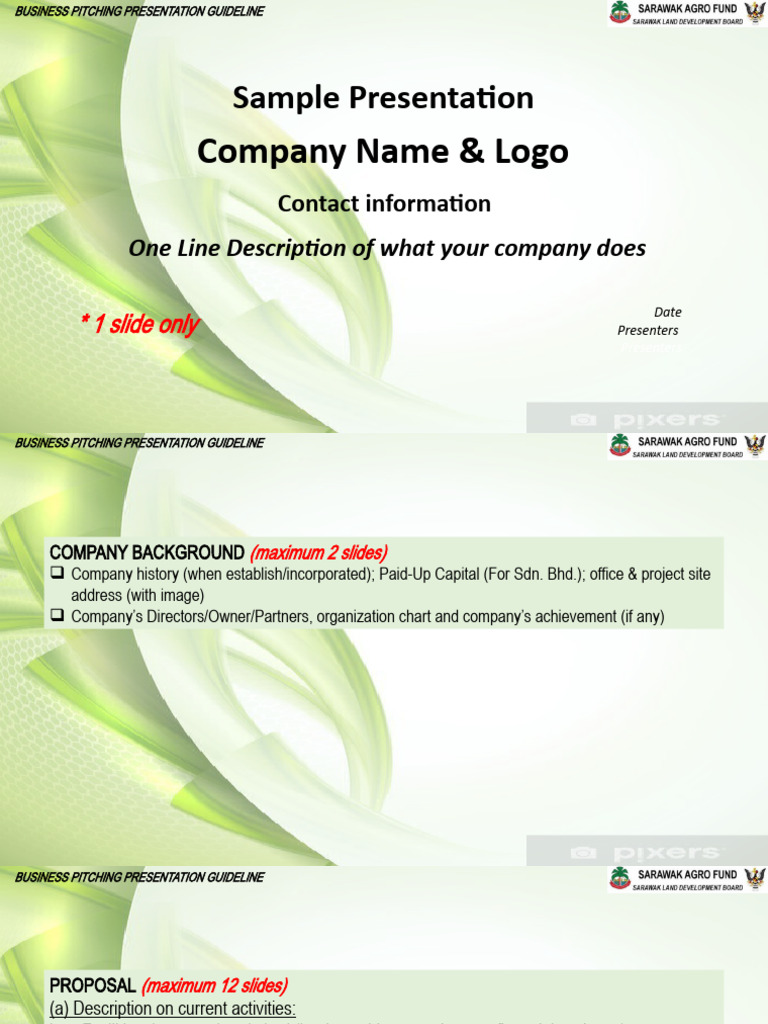 Presentation Guidelines For Bps | PDF