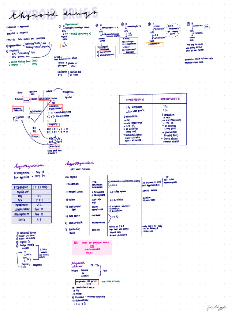 PCOL Endocrine | PDF | Adrenocorticotropic Hormone | Endocrine System