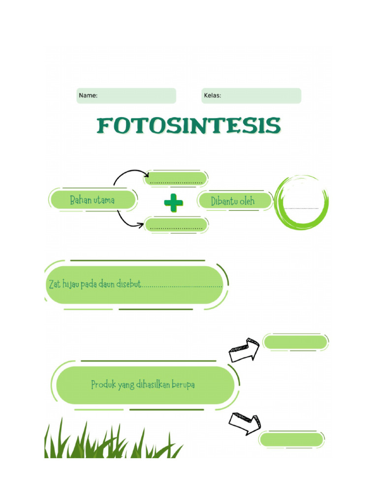 Asesmen Diagnostik Kognitif IPAS Kelas IV | PDF