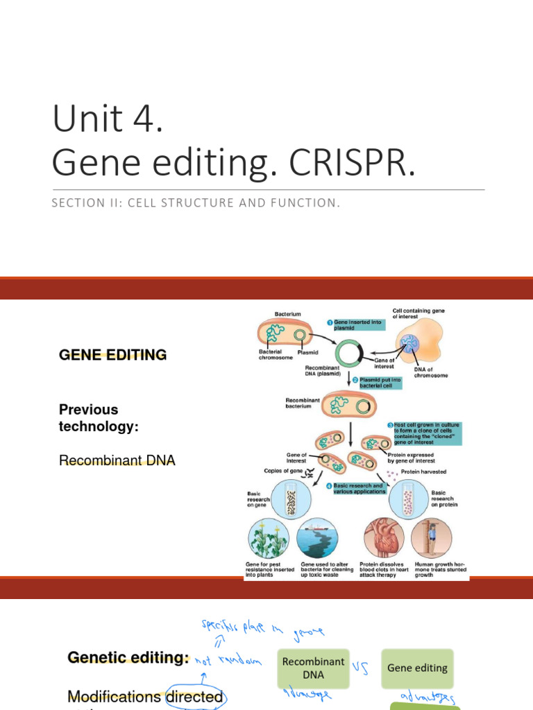 CRISPR Gene Editing: Techniques and Ethics | PDF | Crispr | Zygosity