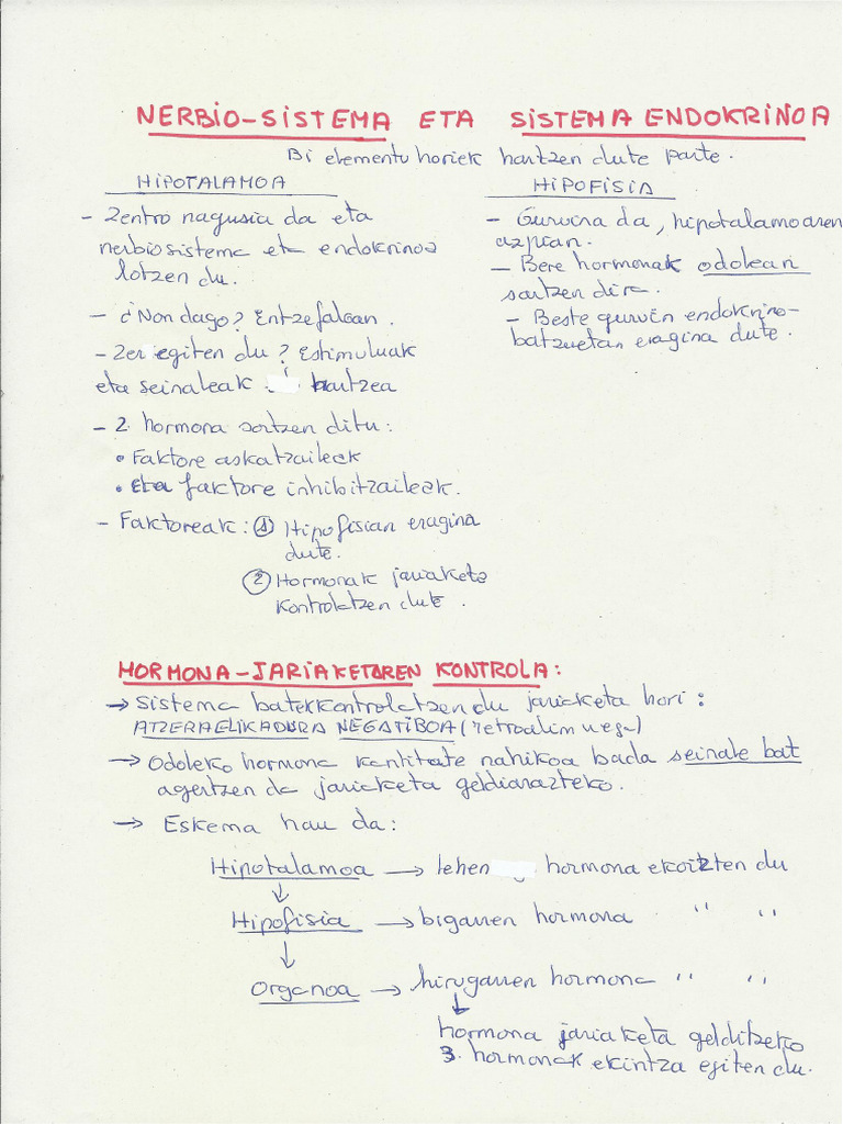 Esquema para Estudiar | PDF