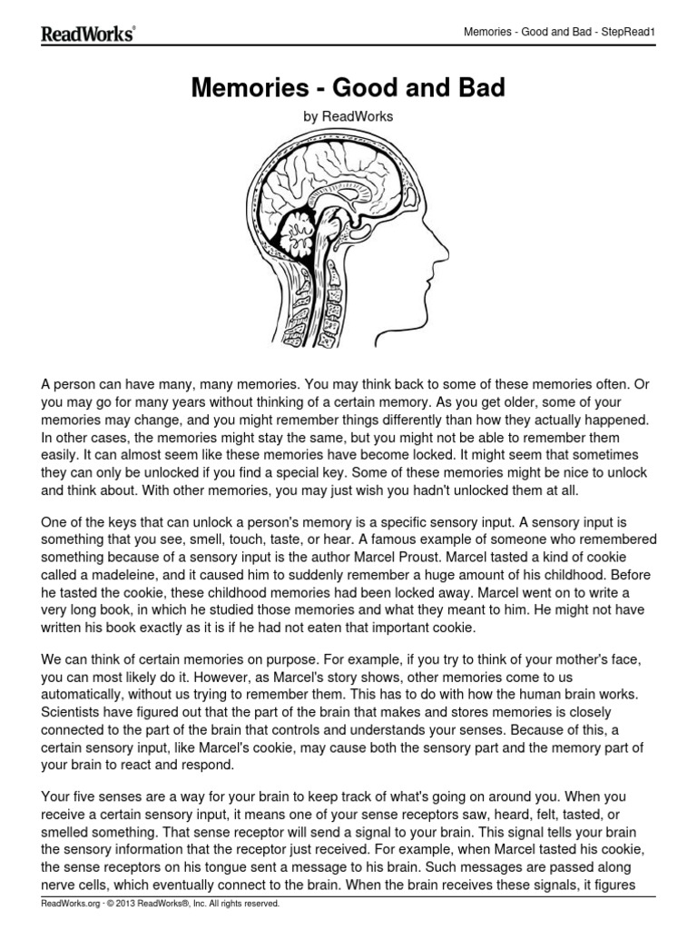Brain Memories Step Reads Pdf Senses Memory