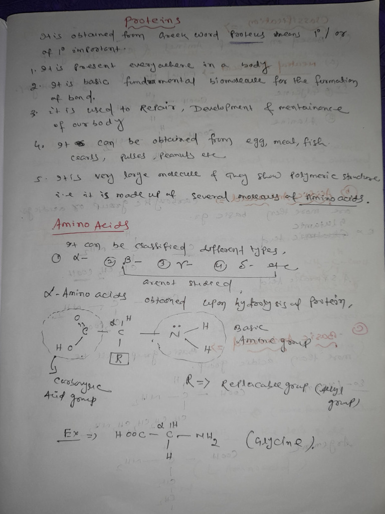 Biochemistry (Protin To End Biochemistry Part 2 | PDF