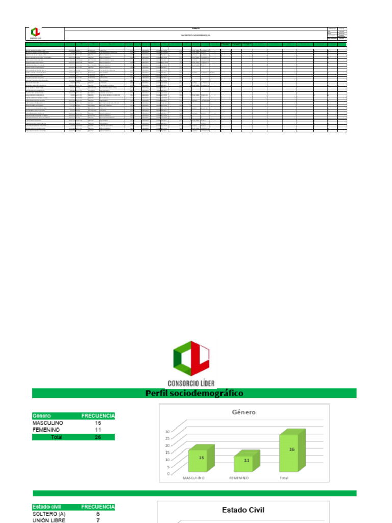 Perfil Sociodemograficolider | PDF