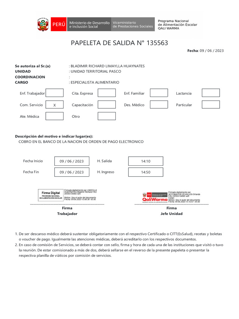 09 06 2023-Papeleta | PDF