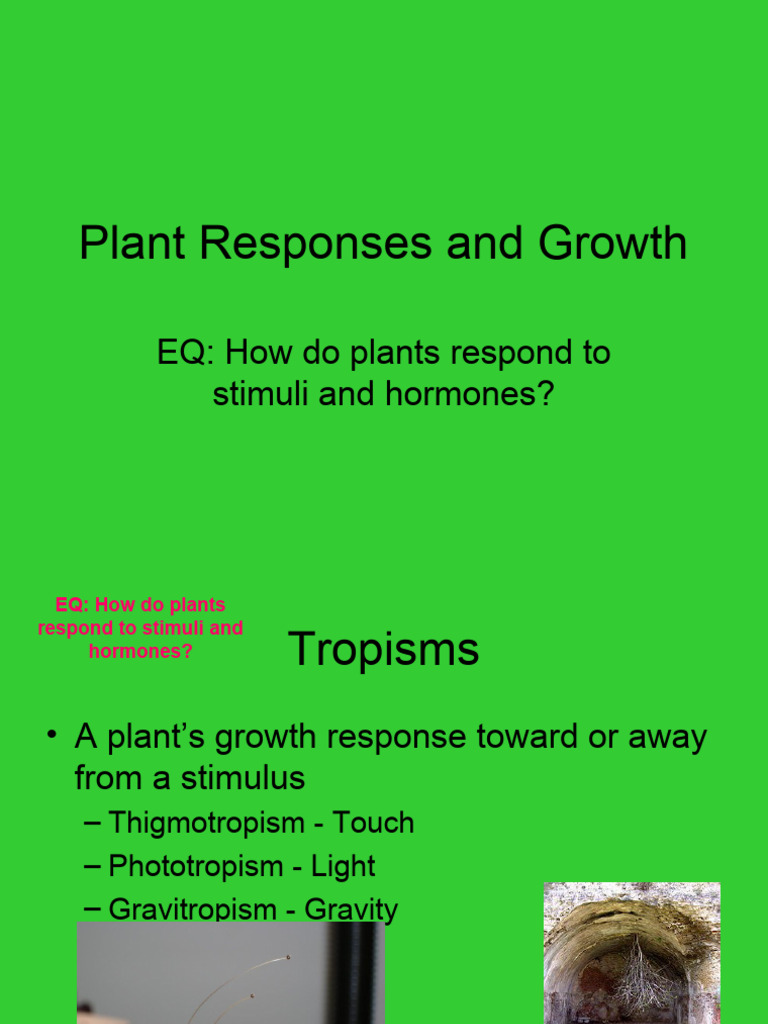 5 4 Plant Responses and Growth | PDF
