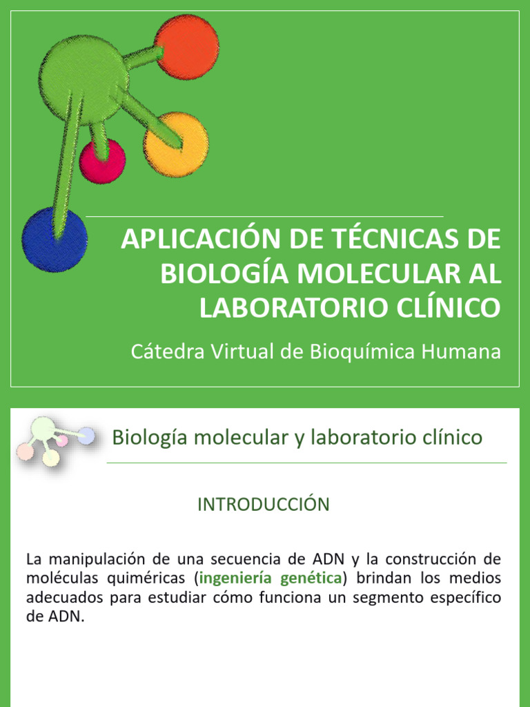 31 - Técnicas de Biología Molecular y Laboratorio Clínico | PDF | Adn | Blot (biología)
