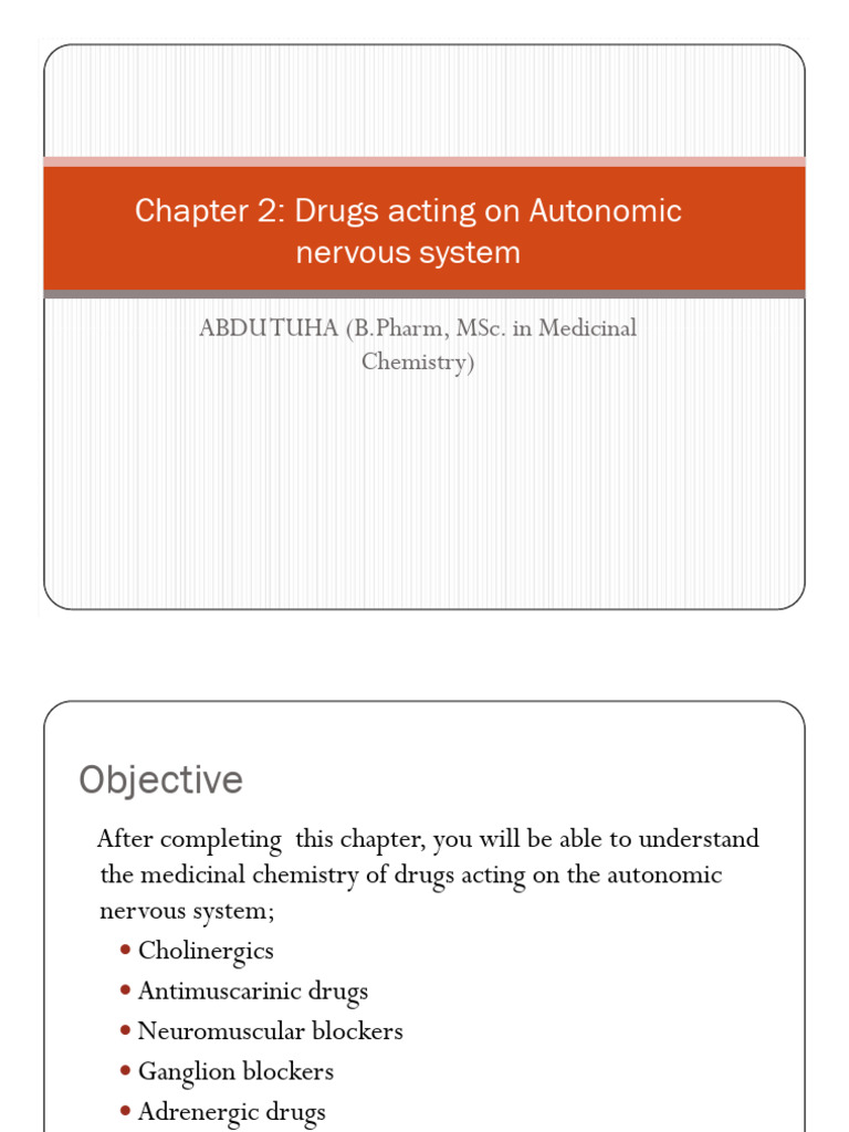 Autonomic Nervous System | PDF | Acetylcholine | Motor Neuron