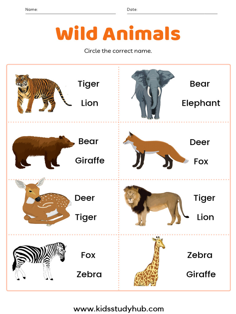 Wild Animals Choose | PDF
