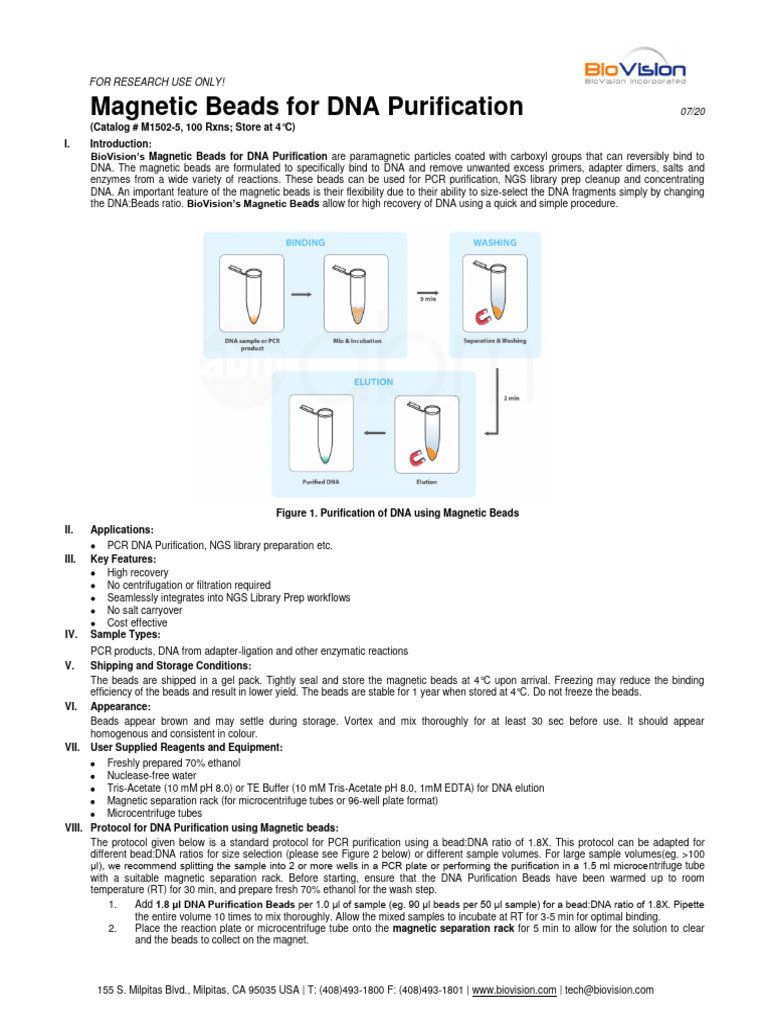 Magnetic Beads Purification | PDF | Protein Purification | Polymerase ...