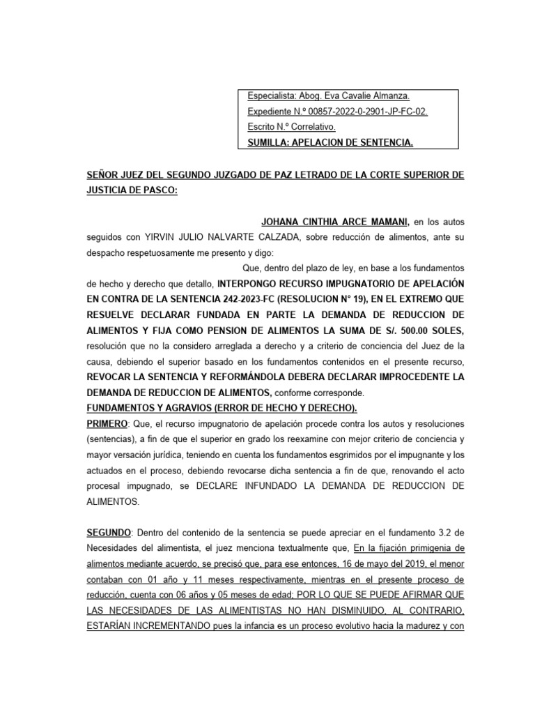 APELACION DE SENTENCIA REDUCCION ARCE MAMANI | PDF | Sentencia (ley ...