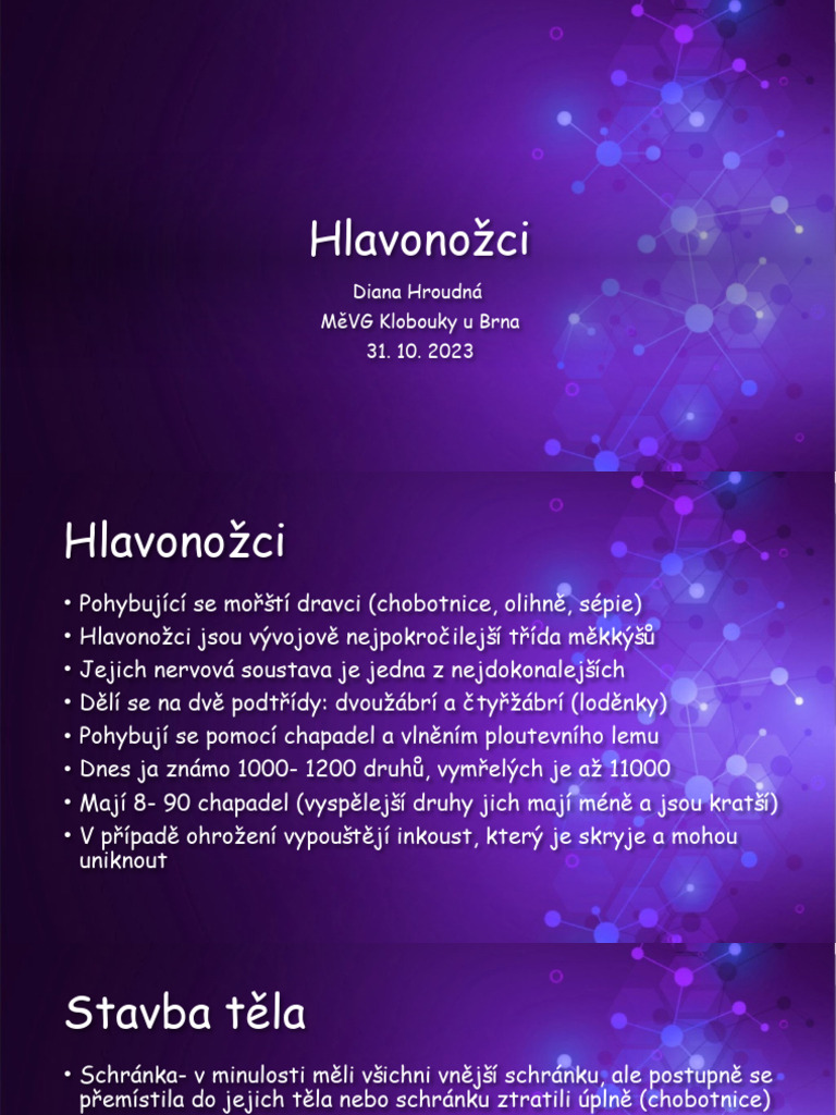 Hlavonožci | PDF