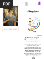Vestiduras e Insignias Del Monaguillo | PDF | Historia | Religión y ...