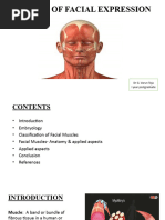Facial Muscles Lateral View Diagram | PDF | Soft Tissue | Human Anatomy