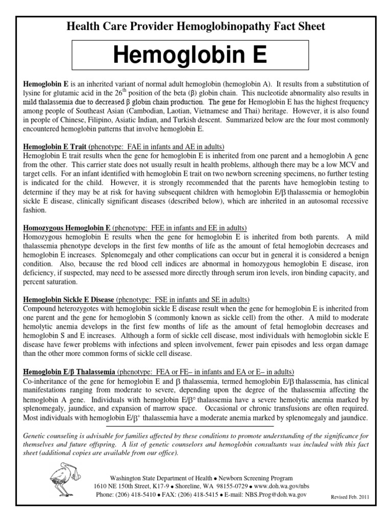 HbE Fact Sheet | PDF | Hematology | Blood