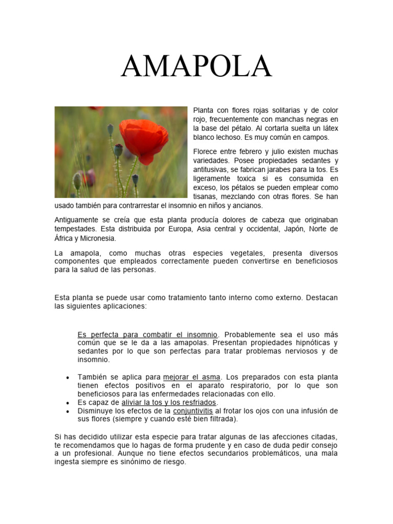 Propiedades y usos de la amapola | PDF