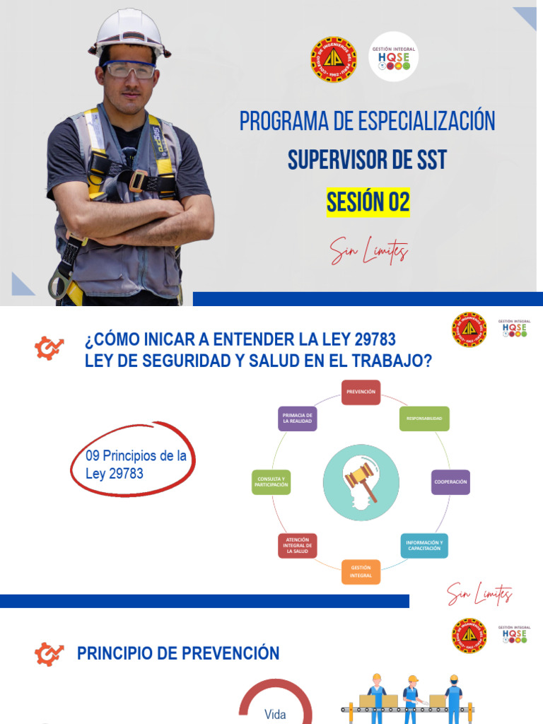 Sesion 02 Supervisor Sst | PDF | Valores
