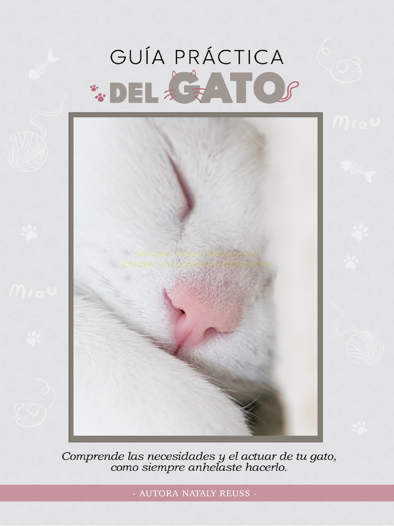 Ebook Gatos Pdf Gatos Felidae