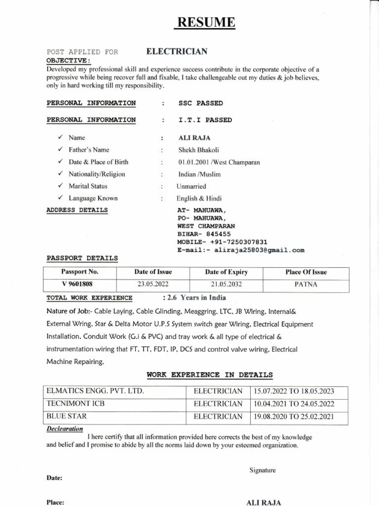 Ali Raja CV | PDF | Electric Power | Electrical Wiring