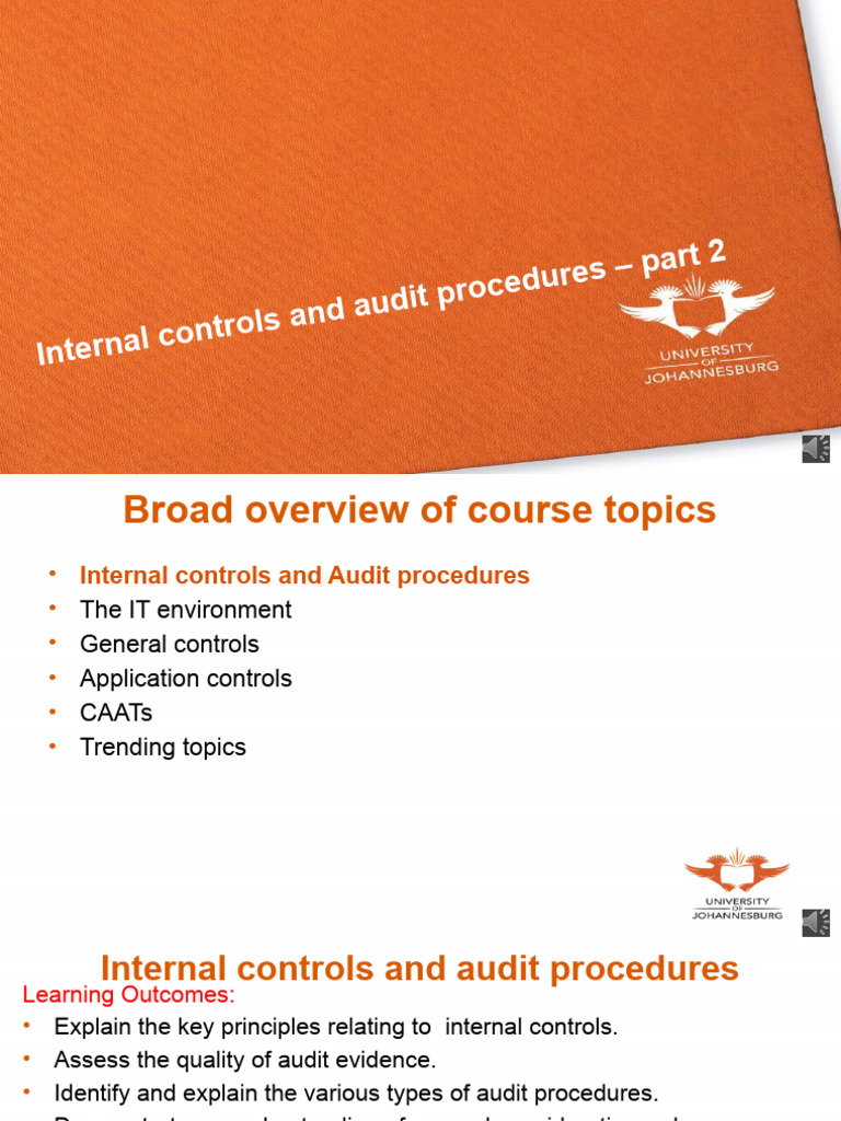 Internal Controls & Audit Procedures Overview | PDF | Audit | Accounting