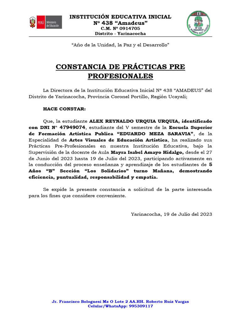 Const Pract Pre Prof | Descargar gratis PDF | Aprendizaje