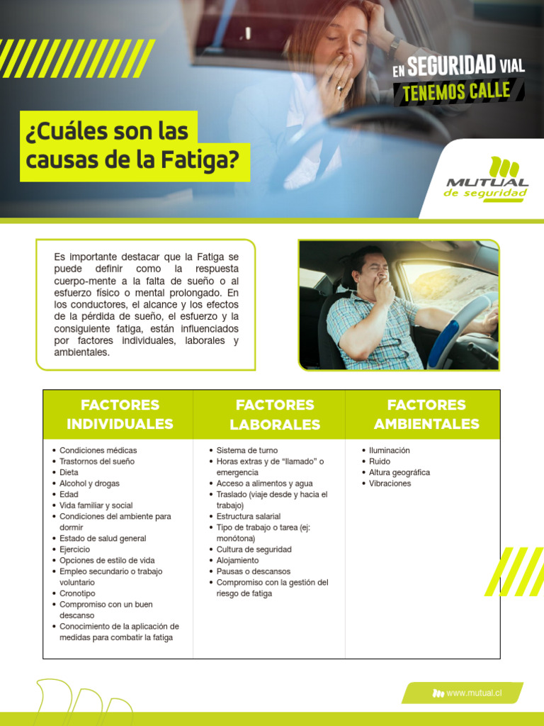 Causas de La Fatiga | PDF