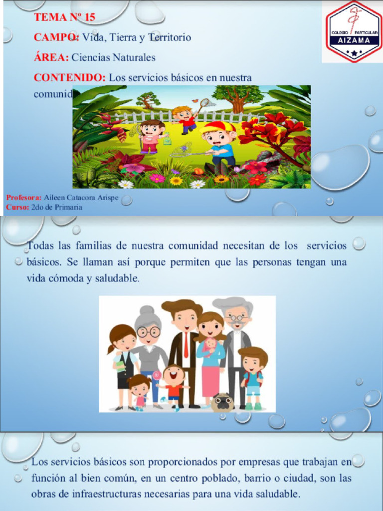 Los Servicios Básicos en Nuestra Comunidad | PDF