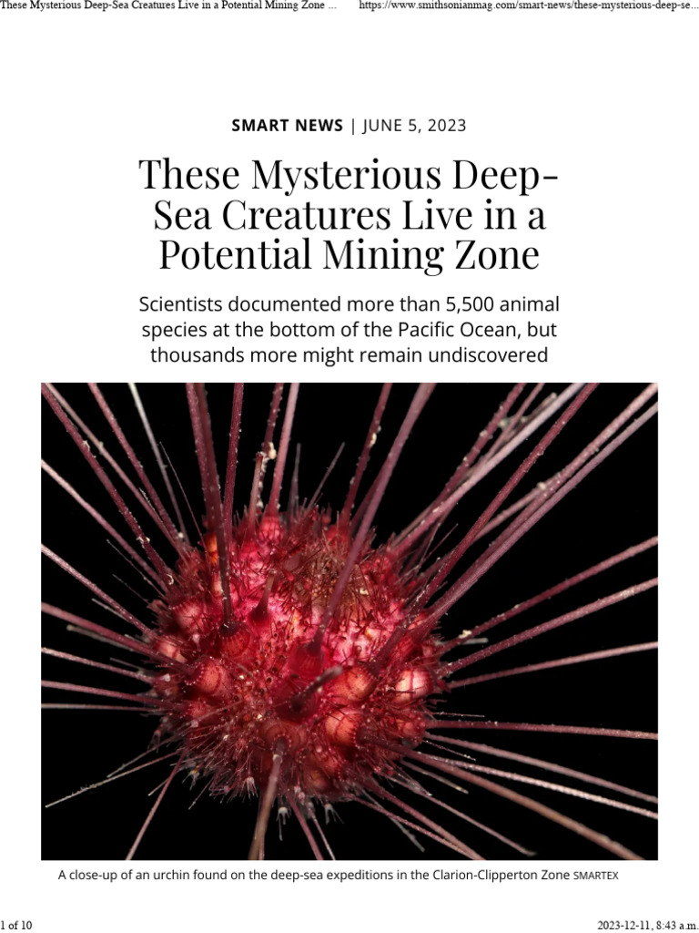 1001-2000 These Mysterious Deep-Sea Creatures Live in A Potential ...