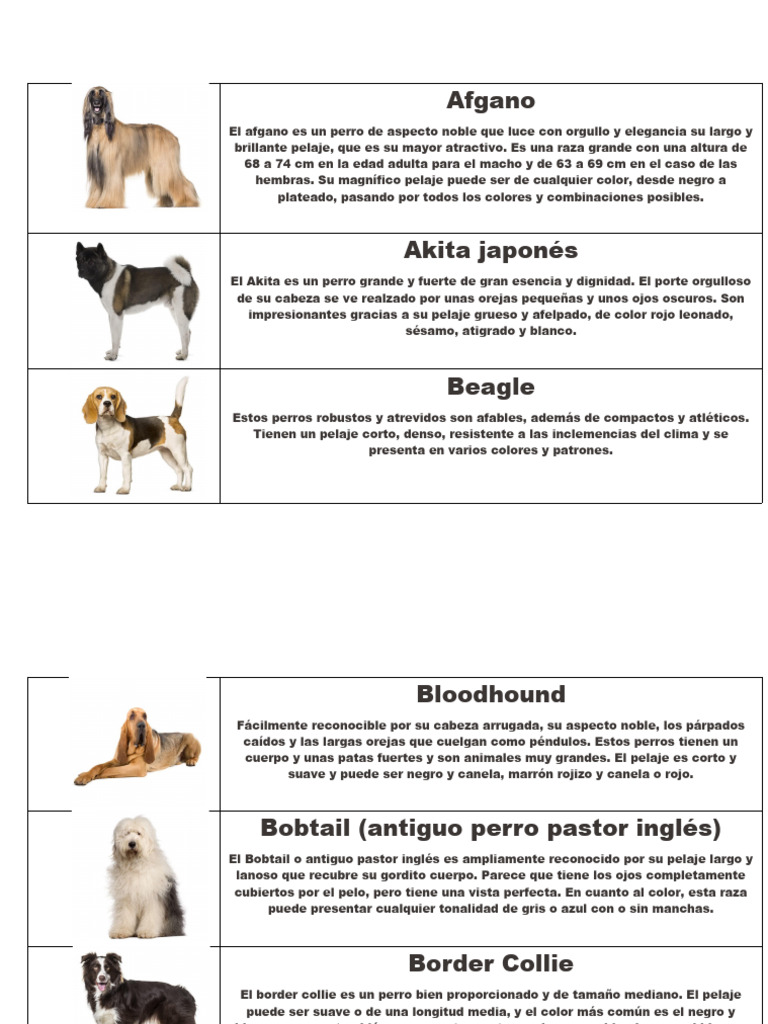 Práctica 25 - Daniela Barrera García LAE | Descargar gratis PDF ...