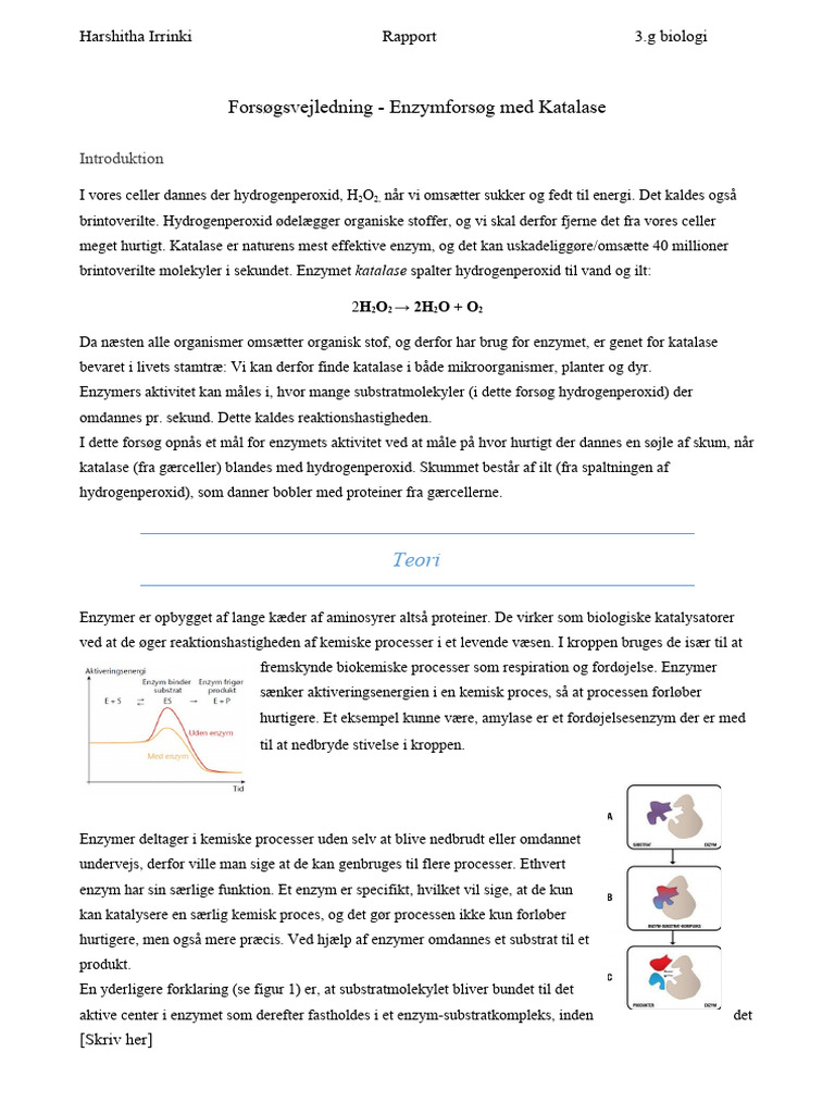 Enzymforsøg Med Katalase | PDF