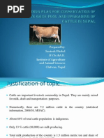 Lecture-IX - Grading Up, Criss Crossing | PDF | Animal Breeding ...