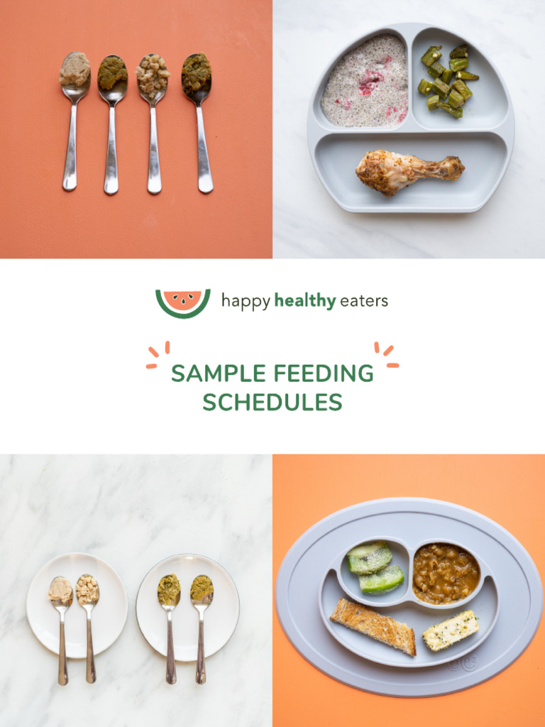 Sample Meal and Snack Schedule | PDF | Lunch | Meal