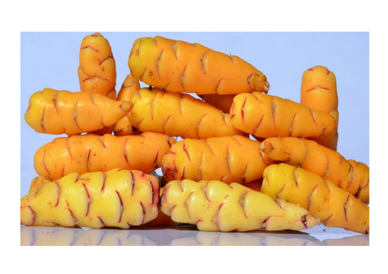 Imagen de La Oca | PDF