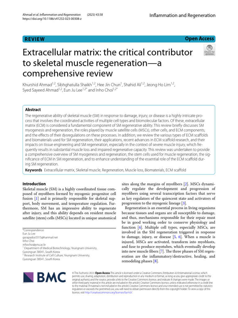 Extracellular Matrix - The Critical Contributor To Skeletal Muscle Regeneration-A Comprehensive ...