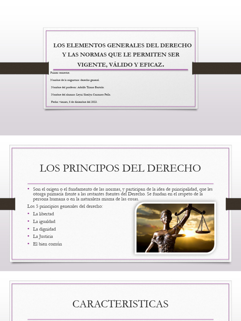 Unidad 2 - Evid - Leyni - Carranco | PDF | Constitución | Legislación