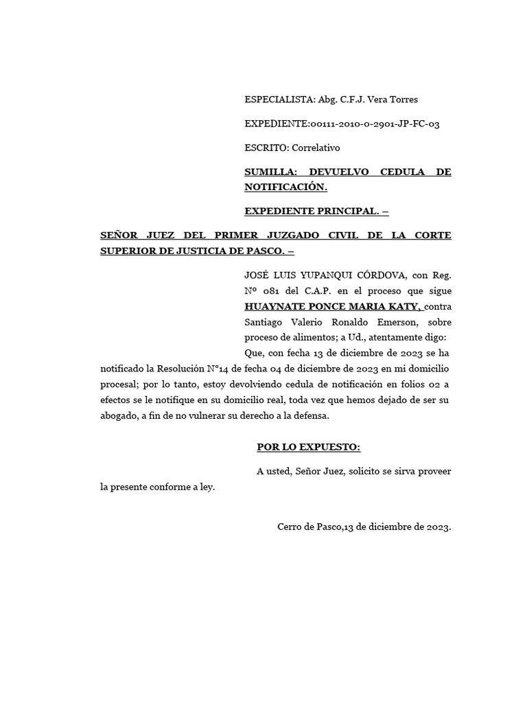 Devuelvo Cedula de Notificación | PDF | Judicaturas | Gobernancia