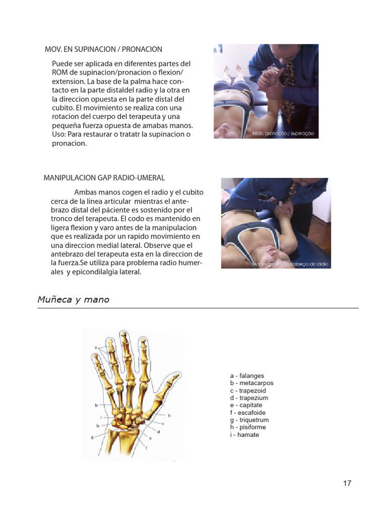 Maitland Periferico 2 | PDF | Mano | Rodilla
