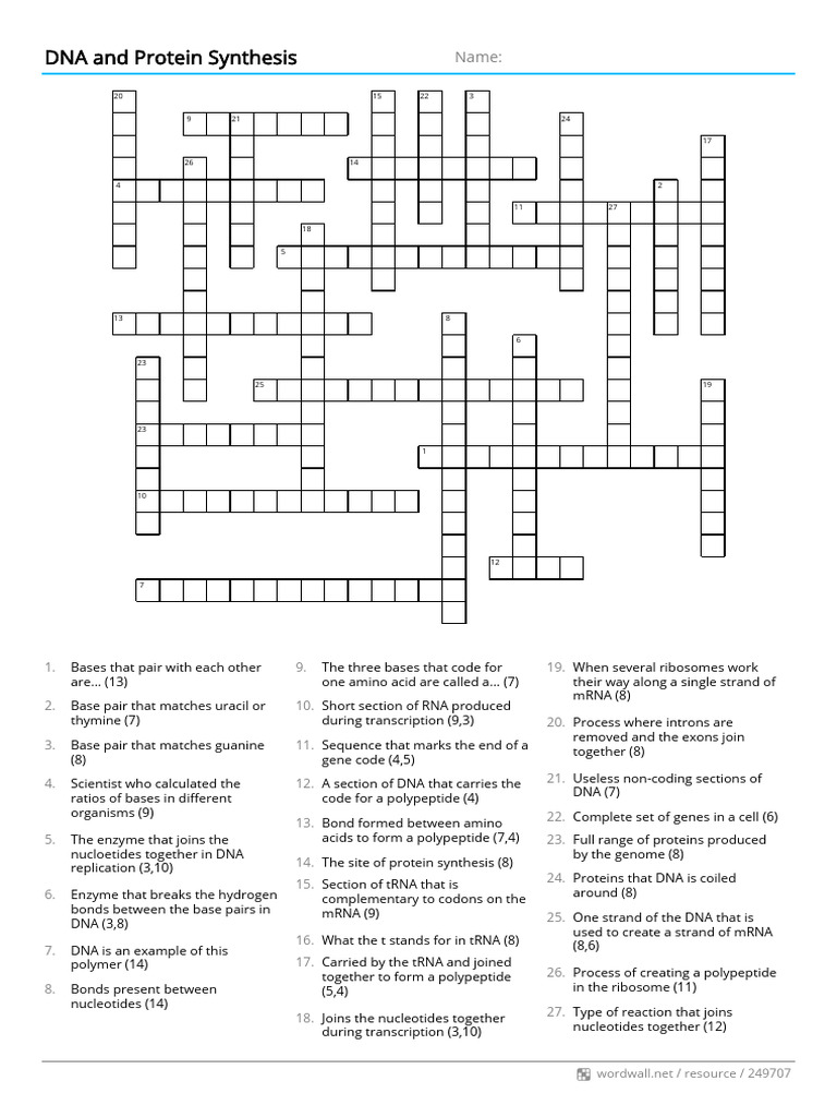 Dna and Protein Synthesis | PDF | Dna | Translation (Biology)