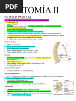 Anatomía y disección de la arteria mamaria interna | PDF | Tórax | Aorta