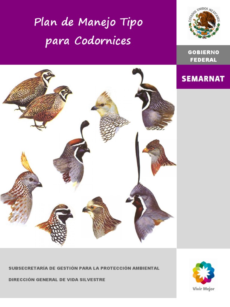 Plan de manejo tipo para codornices en México | PDF | Sustentabilidad ...