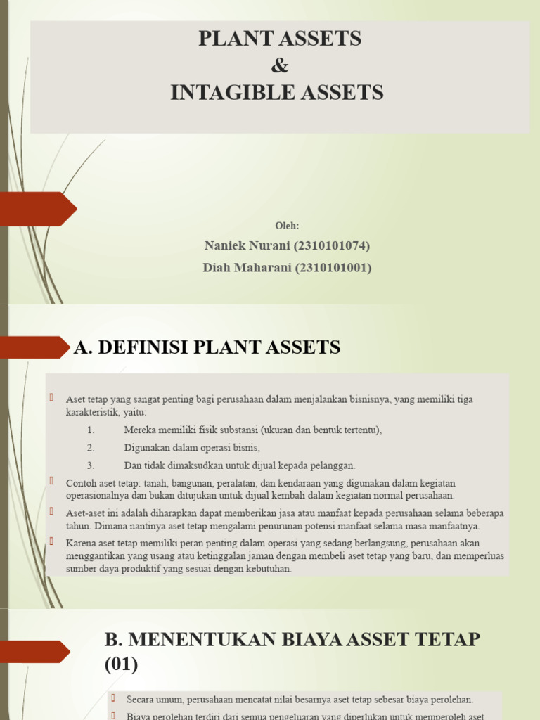 Plant Assets | PDF
