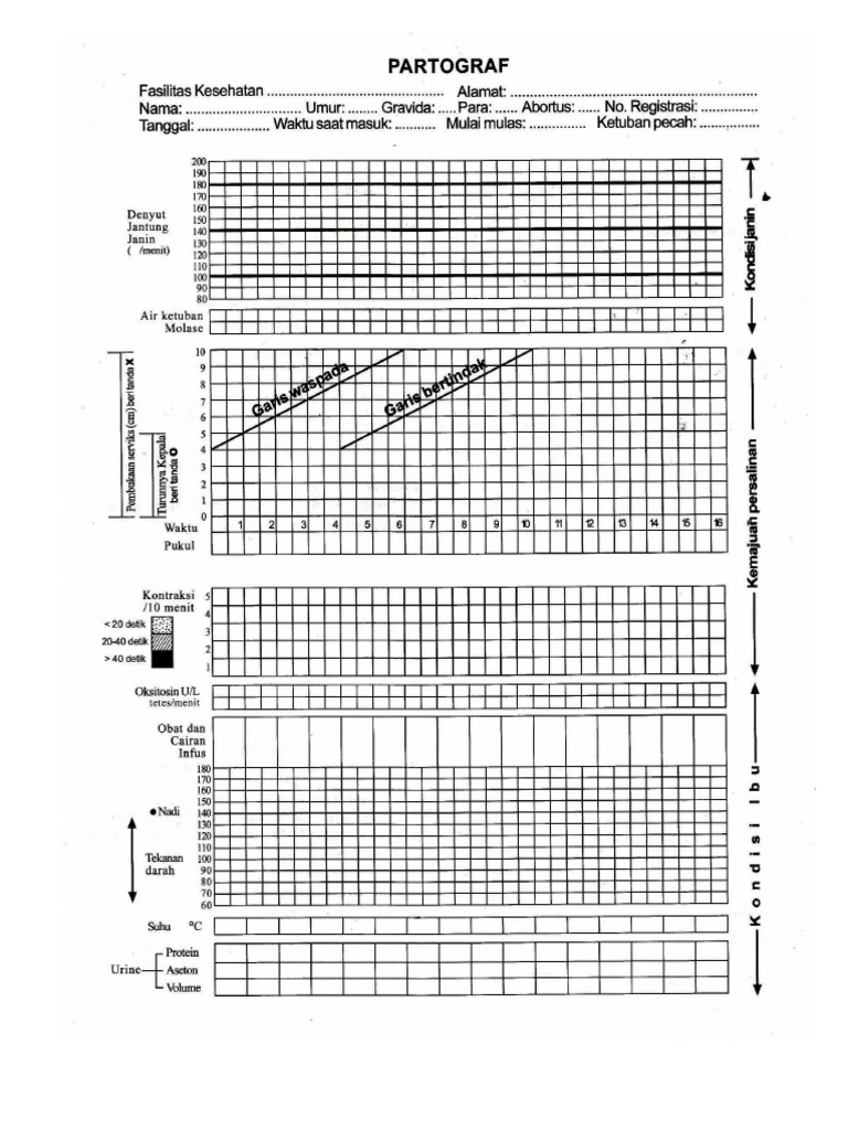 Partograf | PDF